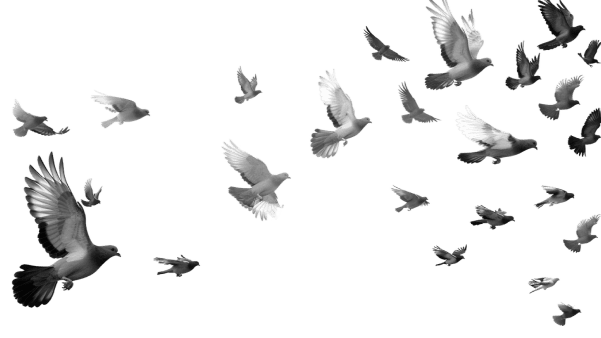 Redactive | Enterprise AI Security Platform